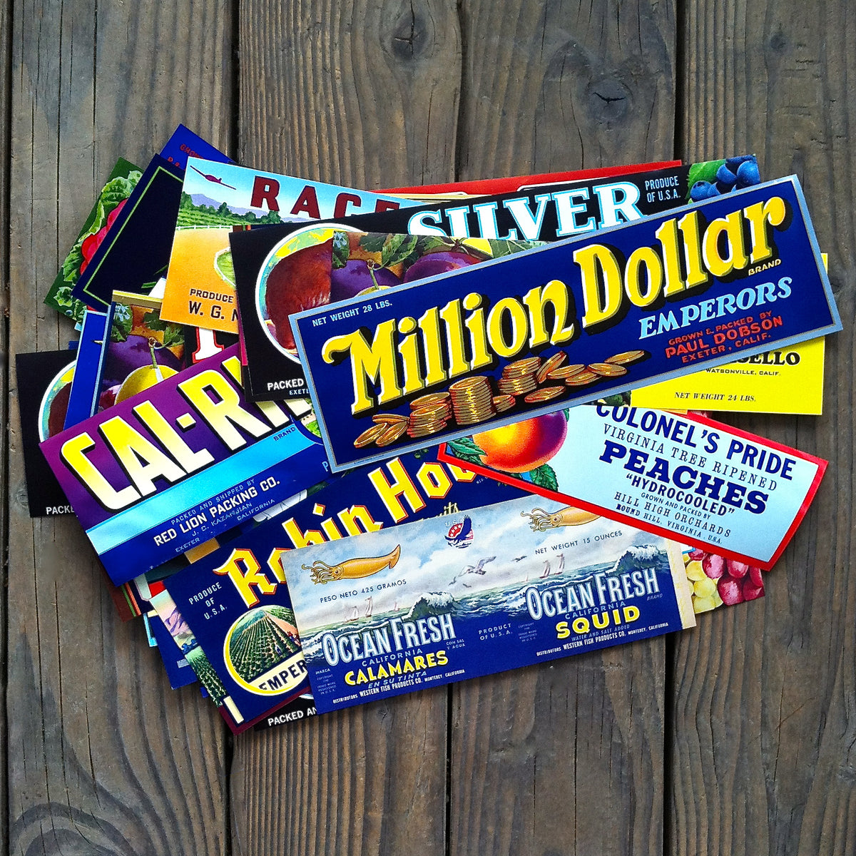 Labels / Label Collections – BestLittleHoardHouse