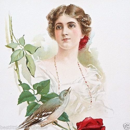 SUZANNE ADAMS SONGBIRD Victorian Lithograph Print 1903 ...