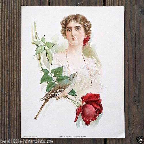 SUZANNE ADAMS SONGBIRD Victorian Lithograph Print 1903 ...