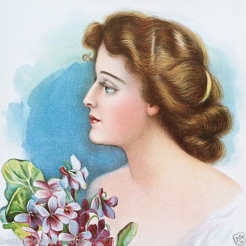 VIOLET FLOWER Victorian Lithograph Print 1909 – BestLittleHoardHouse