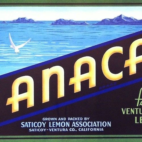 Original ANACAPA LEMON CITRUS CRATE Label Saticoy Ventura Co Californi ...