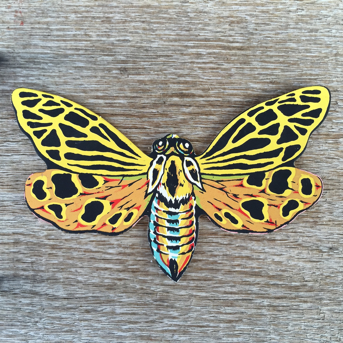 MOTH INSECT Diecut Cardboard Sign 1950s – BestLittleHoardHouse