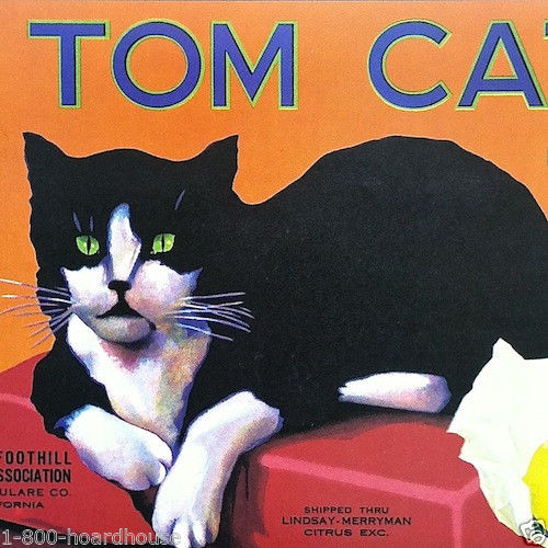 TOM CAT Citrus Crate Box Labels 1970s – BestLittleHoardHouse